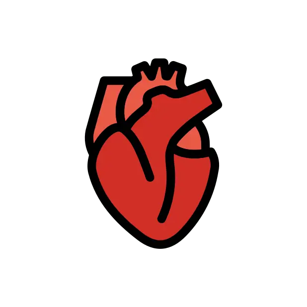 🫀 - Anatomical Heart Emoji meaning, copy and paste emoticon - ( ‿ ) SYMBL